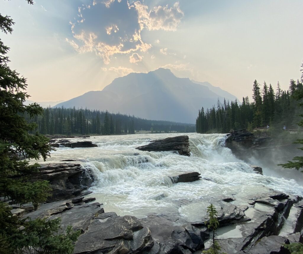 Alberta Rebrands It’s Provincial Nominee Program and Introduces New ...